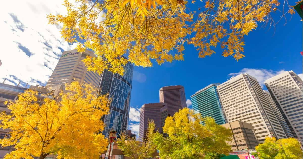 Urban October 2023: Challenges and Opportunities in Cities